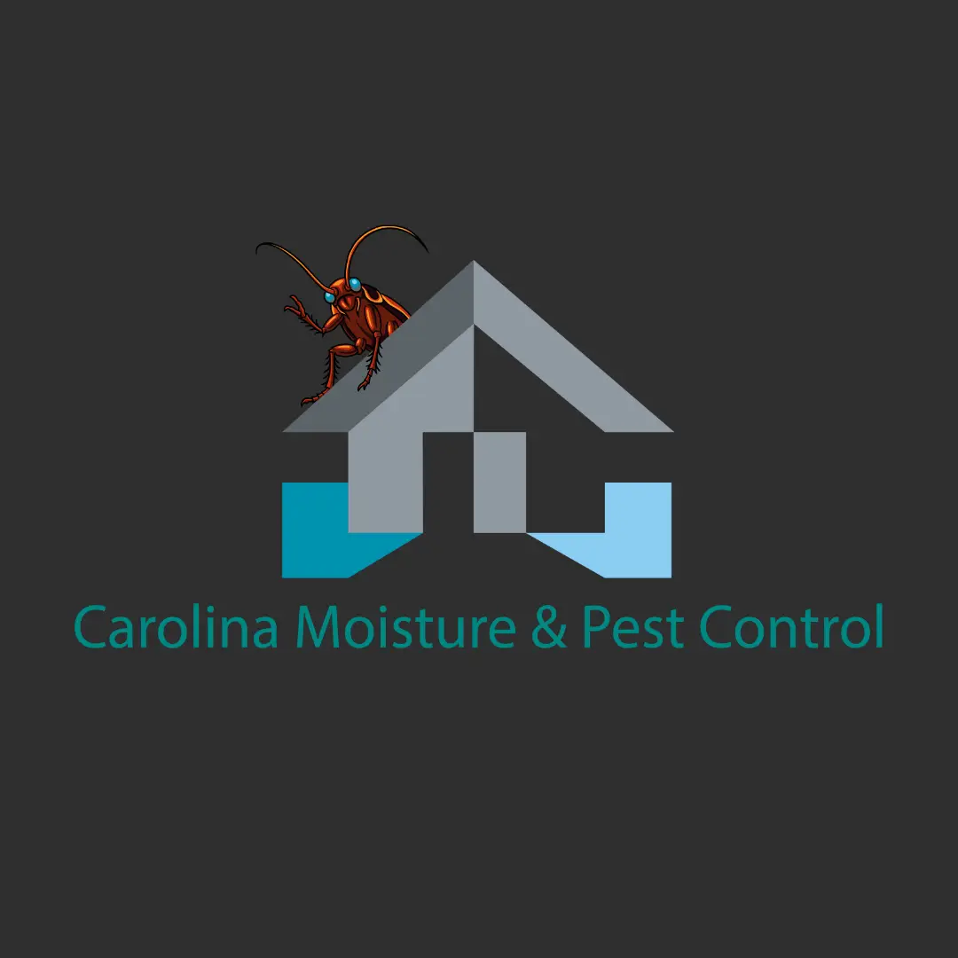 Crawl Space & Pest Control Solutions | Carolina Moisture & Pest